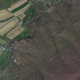 ArcGIS Web Application